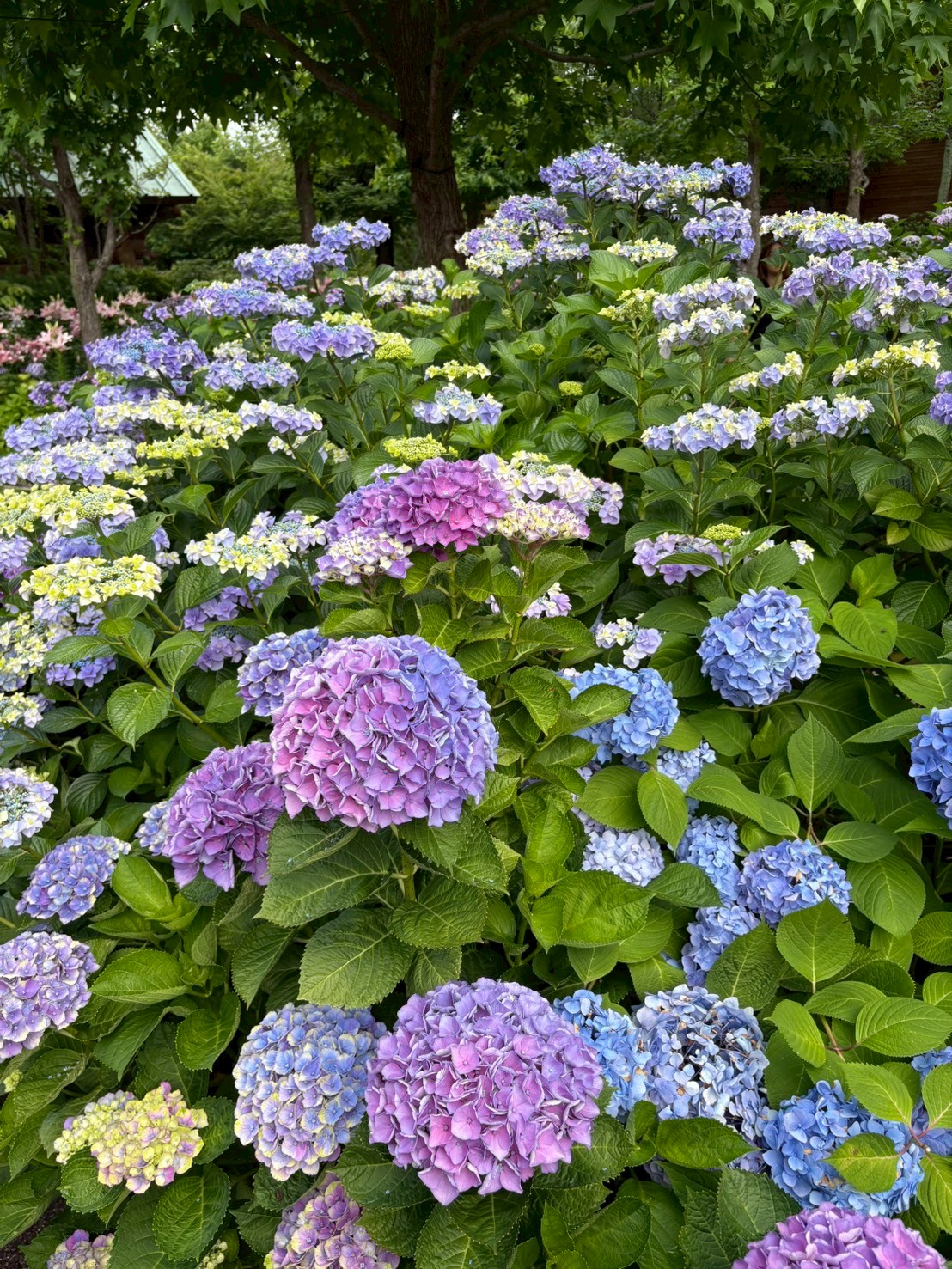 大阪カラーズ舞洲美観活動 | 一般社団法人大阪カラーズ